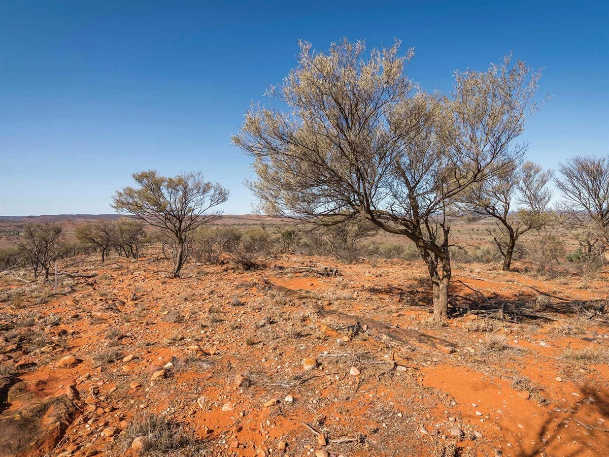 Western Ridge Walk Broken Hill, Australia | Official Tourism Website