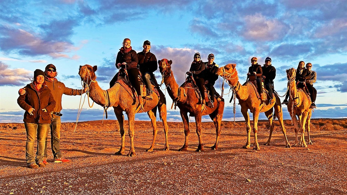 Silverton Outback Camels Broken Hill, Australia | Official Tourism Website