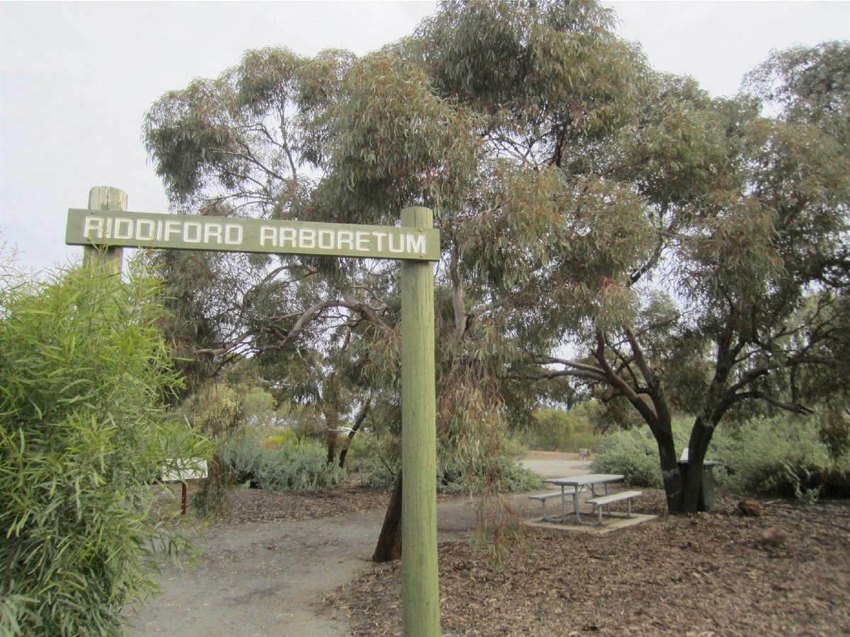 Riddiford Arboretum Broken Hill, Australia | Official Tourism Website